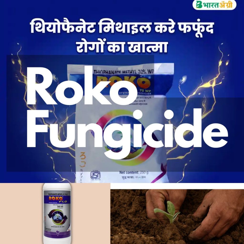 Roko Fungicide A Powerful Solution for Fungal Diseases control