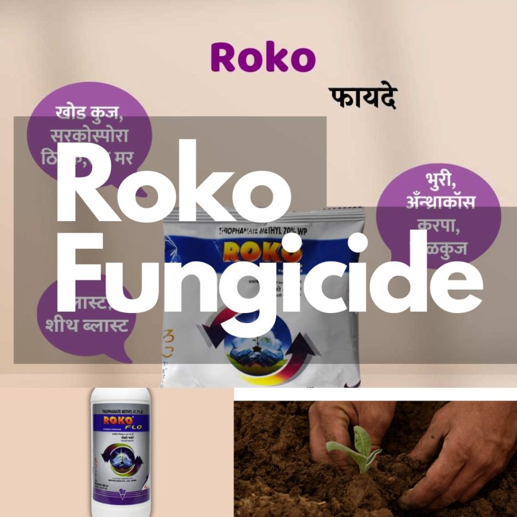 Roko Fungicide A Powerful Solution for Fungal Diseases control
