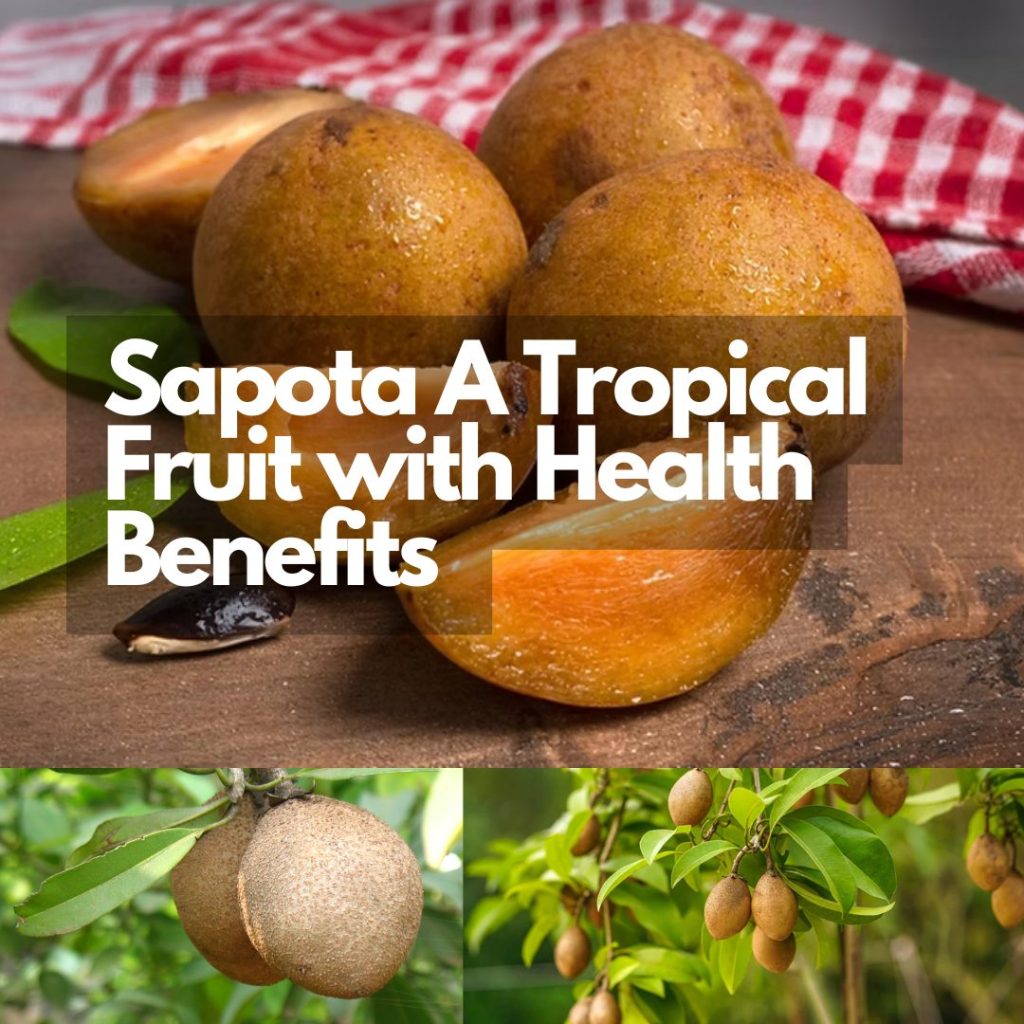 Sapota A Tropical Fruit with Health Benefits and details of Chikoo