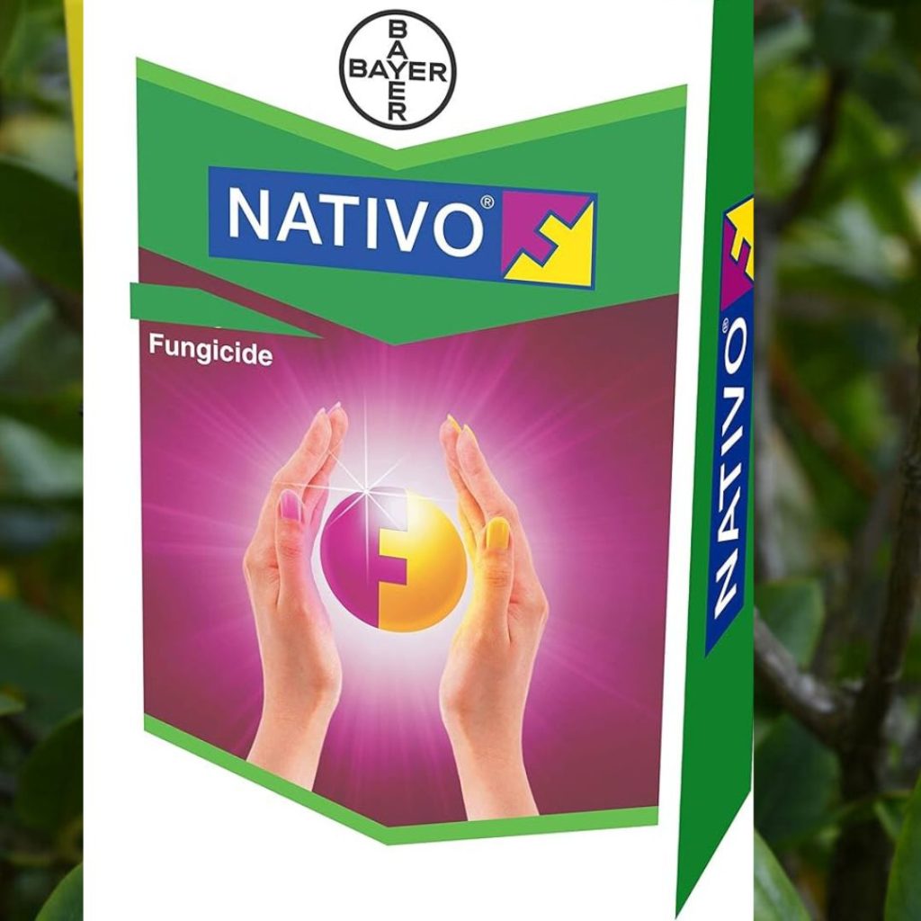 Nativo Fungicide for Farmers: How It Works, Dosage