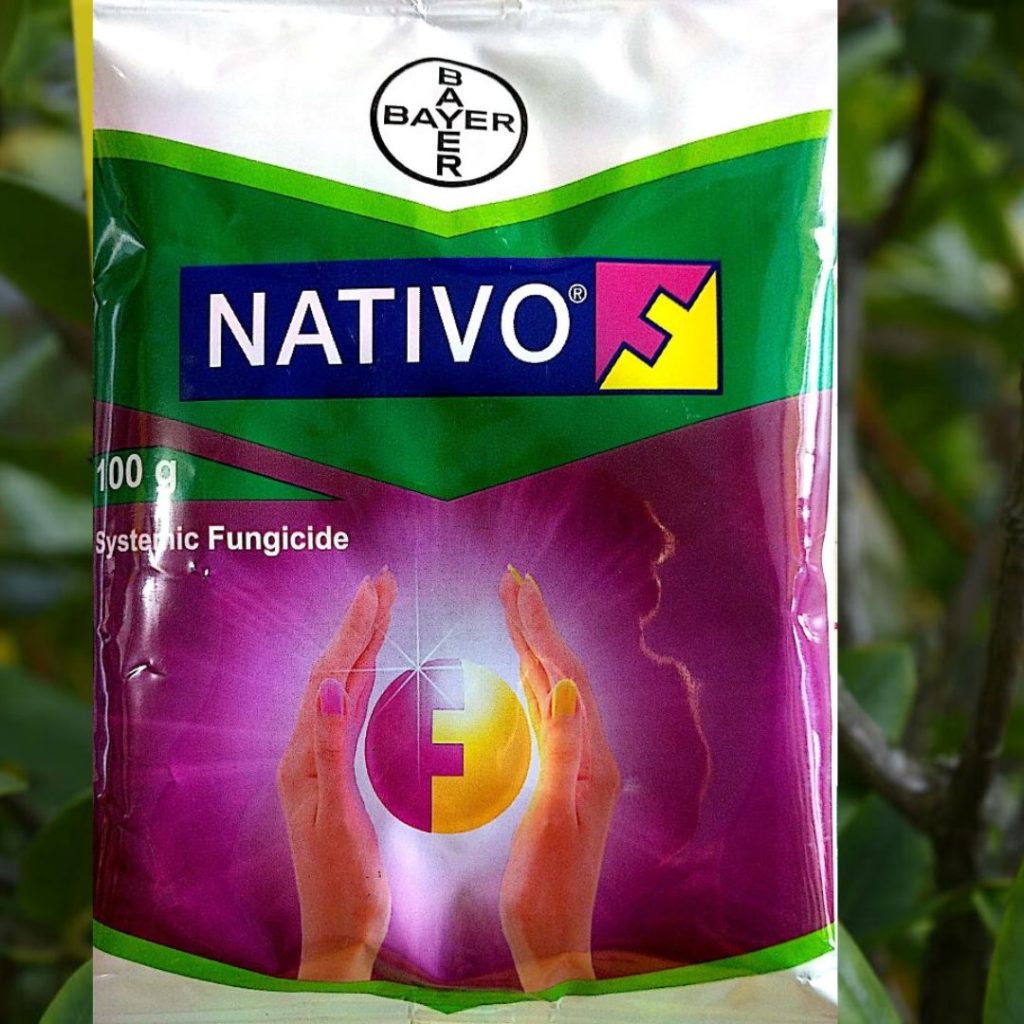 Nativo Fungicide for Farmers: How It Works, Dosage
